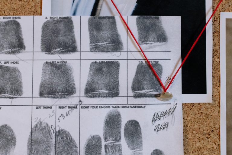 Different Records Shown During a Fingerprint Background Check - WECAN